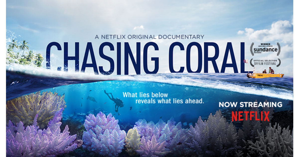 המלצת צפייה: לרדוף אחרי אלמוגים - Chasing Coral - גל ירוק